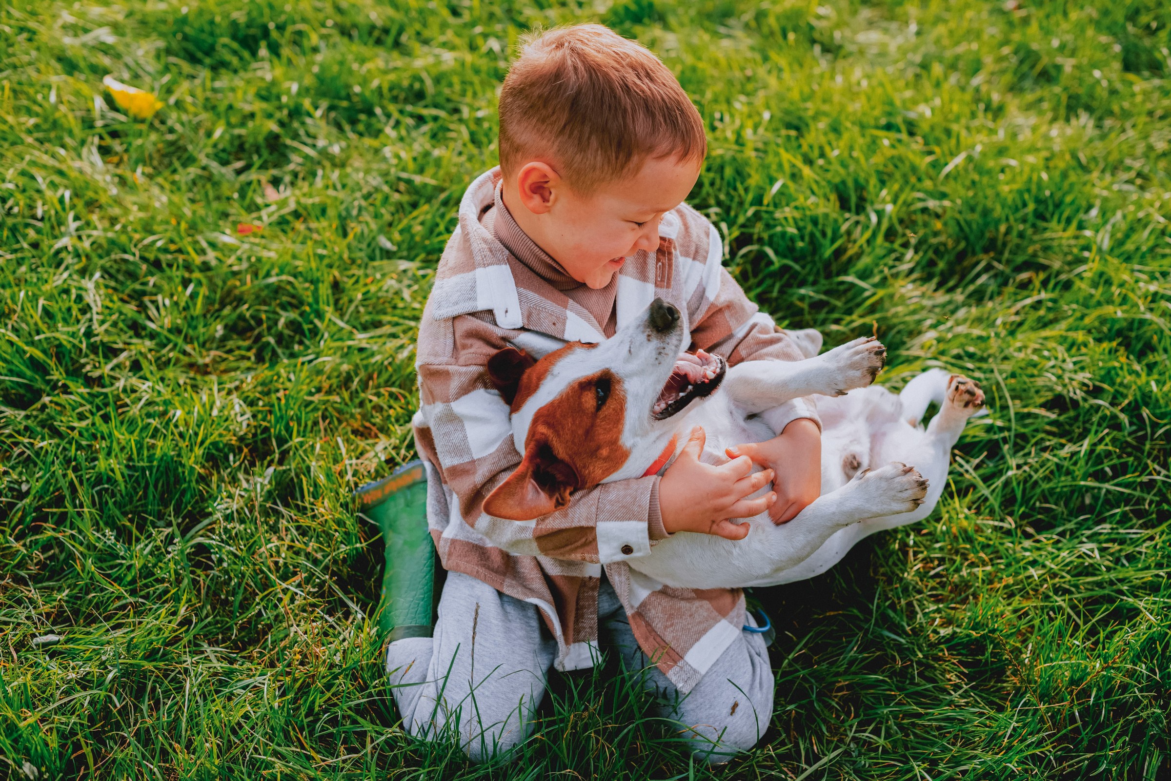 How to Deal with the Loss of a Pet: Comforting Strategies for Healing ...